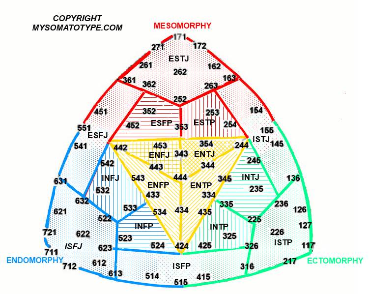 SOMATOTYPE CHART OF MEYERS-BRIGGS PERSONALITY TYPES – Somatotype ...
