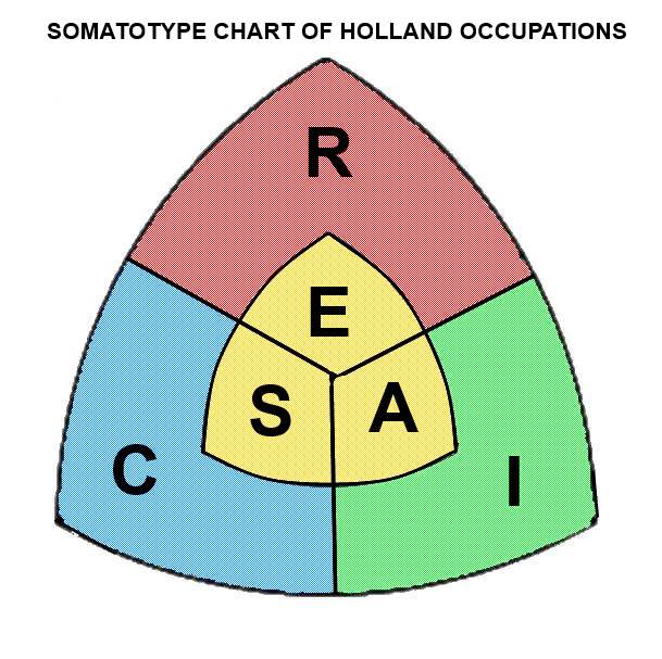 CAREER CHOICE AND BODY-TYPE (Hollands Occupational Themes) – Somatotype ...